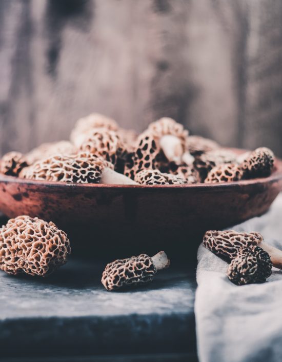 How to Find Morels: 8 Best Tips - Petal Back Farm