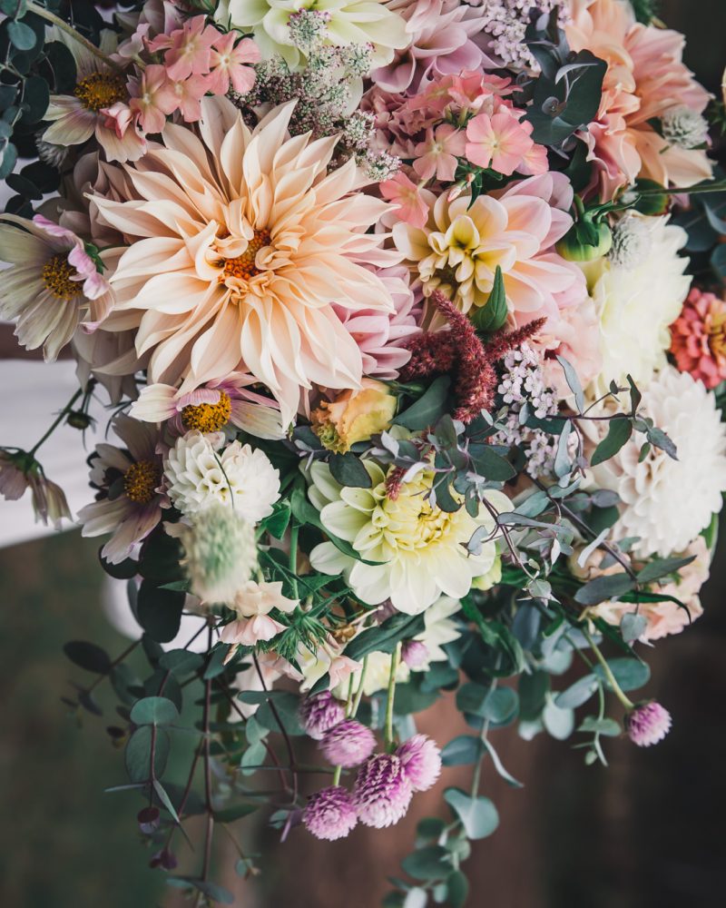 Edit Photos: 7 Reasons Why You Should be Editing - Petal Back Farm