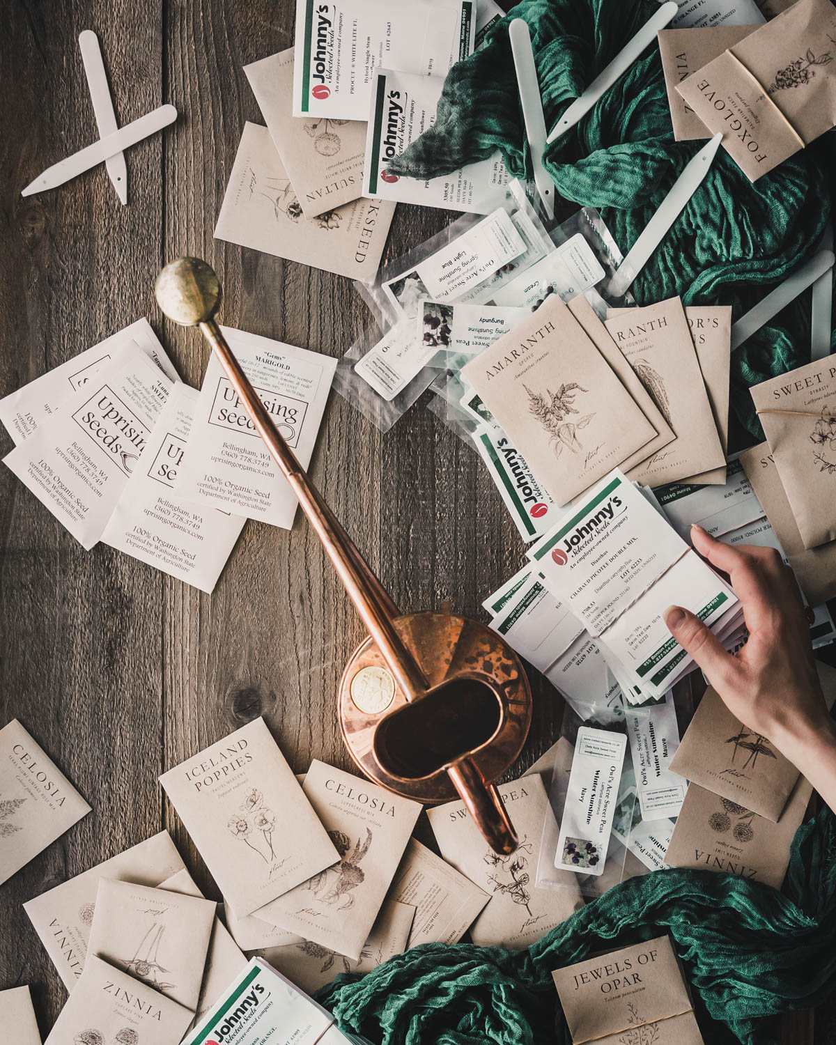 January Farm Tasks - Petal Back Farm