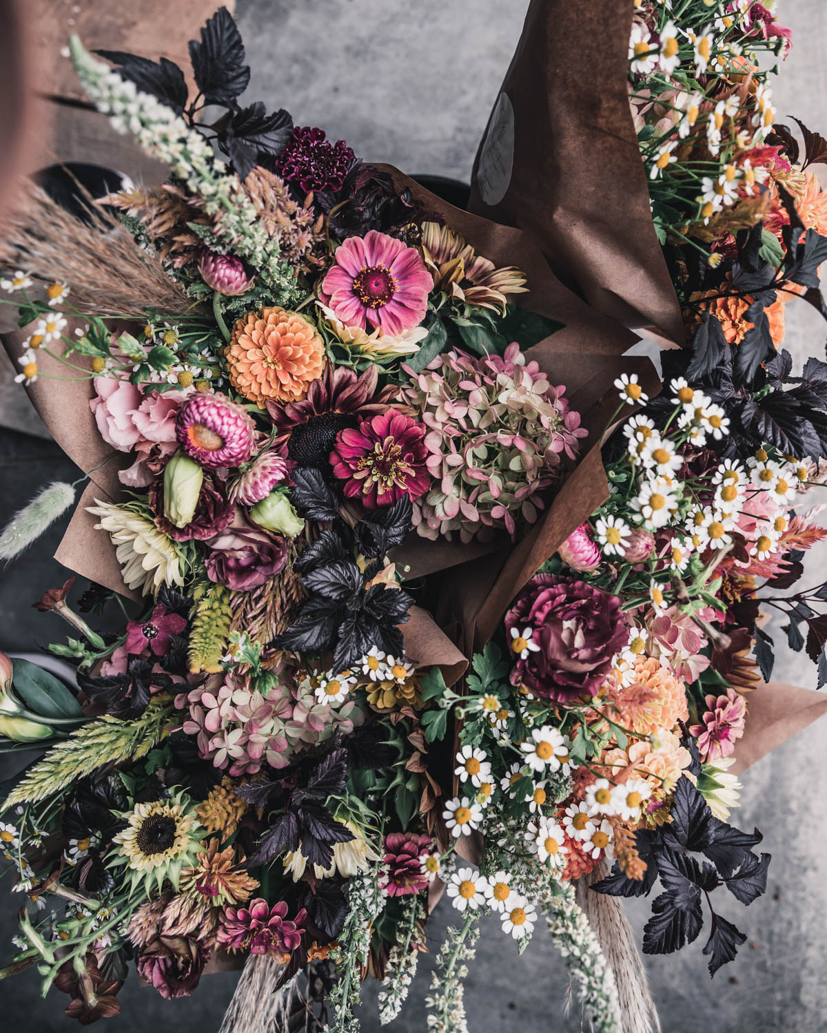 January Farm Tasks - petalbackfarm.com