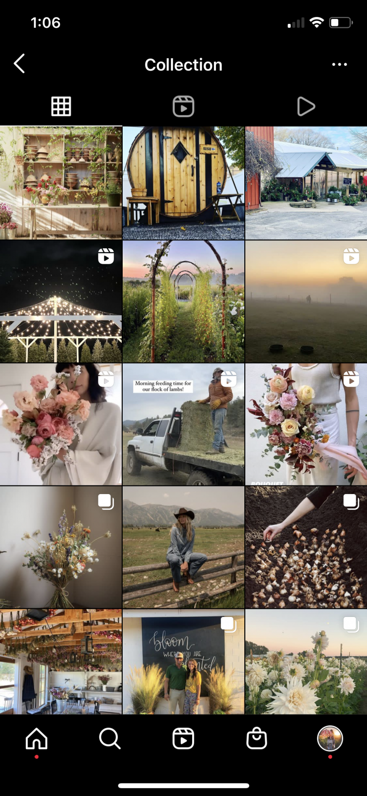 January Farm Tasks - Petal Back Farm