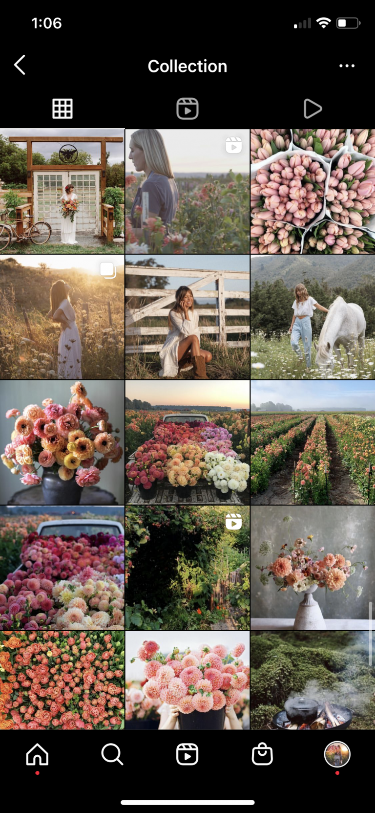 January Farm Tasks - Petal Back Farm