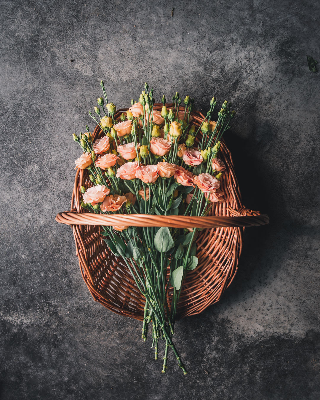 January Plant Profile: Lisianthus - Petal Back Farm