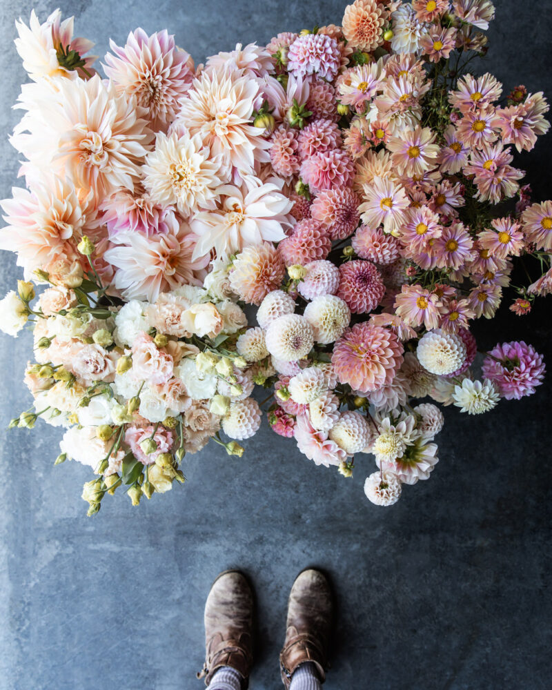 Flower Farm Color Palettes: Peach & Pink - Petal Back Farm